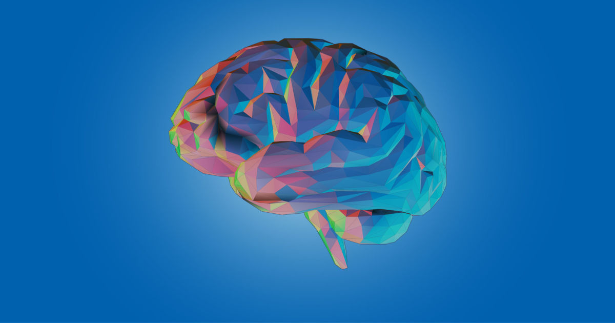 Hjernetrimmen! | Oppgaver til «Ja takk, hjerne!» | Hjerneskolen